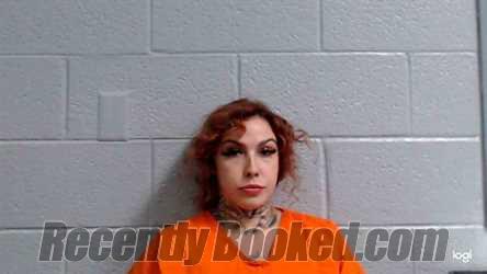 Recent Booking / Mugshot for Hallie Paige Graham in Mercer County, West ...