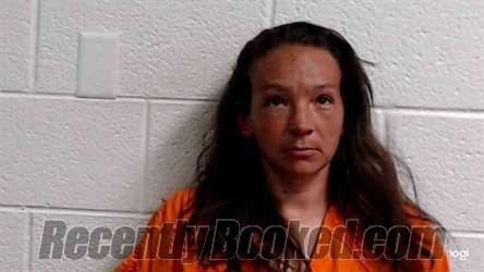 Recent Booking / Mugshot for Jessica Dawn Goins in Mercer County, West ...