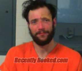 Recent Booking / Mugshot for Logan Tyler Lewis in Mineral County, West ...
