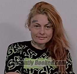 Startisha Elizabeth Keplinger Mugshot & Arrest Info | Mineral County, WV