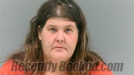 Recent Booking / Mugshot for Amber Lottie Cable in Mingo County, West ...