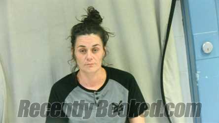 Recent Booking / Mugshot for Alaina Ryan Hatfield in Mingo County, West ...