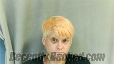 Recent Booking / Mugshot for Beth Ann Parsons in Mingo County, West ...