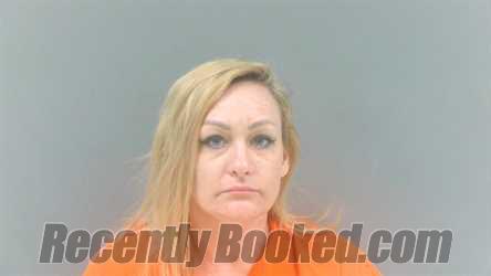 Recent Booking / Mugshot for Cassandra Dawn Meade in Mingo County, West ...