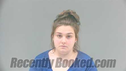 Recent Booking / Mugshot for Hailey Marie Shaffer in Mingo County, West ...