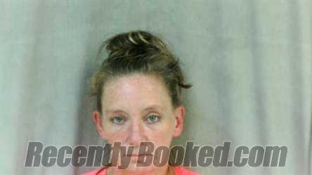 Recent Booking / Mugshot for Jamie Lynn Spaulding in Mingo County, West ...