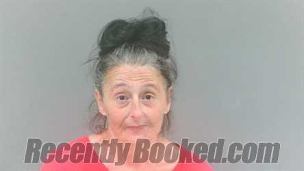 Recent Booking / Mugshot for Johnna Michelle Williamson in Mingo County ...