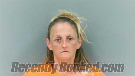 Recent Booking / Mugshot for Rachel Burton in Mingo County, West Virginia