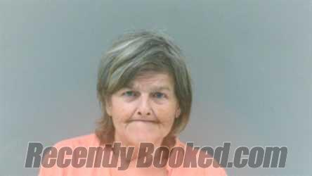 Recent Booking / Mugshot for Sharon Dianne McLarney in Mingo County ...