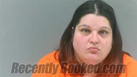 Recent Booking / Mugshot for Sarah Reed in Mingo County, West Virginia