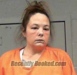 Shanna Nicole Rice Mugshot & Arrest Info | Monongalia County, WV
