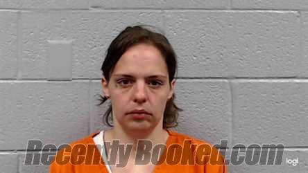 Recent Booking / Mugshot for Anna Lee Coffman in Nicholas County, West ...