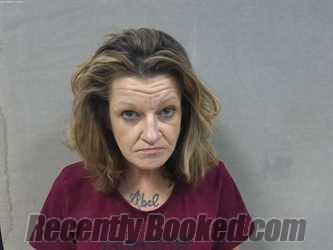 Brandy Marie Chapman Mugshot & Arrest Info | Nicholas County, WV