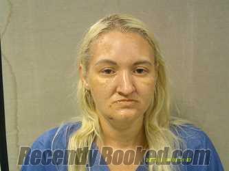 Recent Booking / Mugshot for Kayla Michelle Hamner in Nicholas County ...