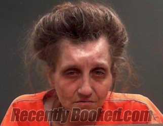 Recent Booking / Mugshot for Amber Lynn Kendricks in Ohio County, West ...