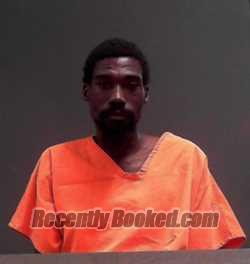 Recent Booking / Mugshot for Brian Christopher Davis in Ohio County ...