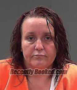 Recent Booking / Mugshot for Crystal Marie Williams in Ohio County ...