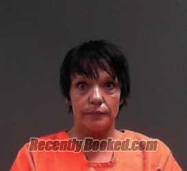 Recent Booking / Mugshot for Molly Jo Collins in Ohio County, West Virginia