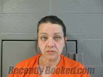 Recent Booking / Mugshot for Fallon Marie Hartley in Preston County ...