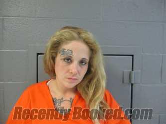 Recent Booking / Mugshot for Mercedes Lynn Lewis in Preston County ...