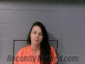 Recent Booking / Mugshot for Michelle Renae Cosner in Preston County ...