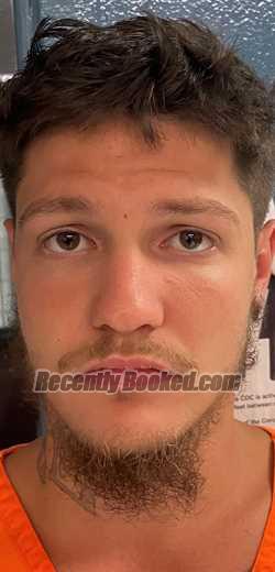 Recent Booking / Mugshot for Nathan Dean Leggett in Preston County ...