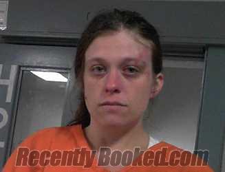 Recent Booking / Mugshot for Courtney Nicole Spangler in Putnam County ...
