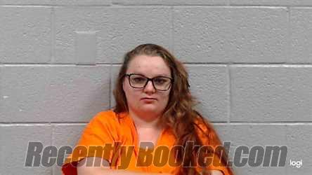 Recent Booking / Mugshot for Amber Dawn Rainey in Raleigh County, West ...