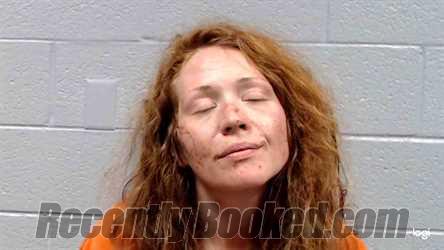 Recent Booking / Mugshot for Amber Nichelle Welch in Raleigh County ...