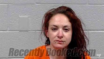 Recent Booking / Mugshot for Crystal Blanch Page in Raleigh County ...