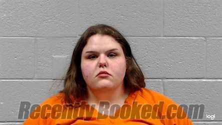 Recent Booking / Mugshot for Cheyenne Brooke Wills in Raleigh County ...