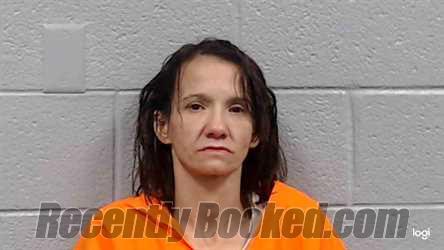 Recent Booking / Mugshot for Cynthia Jane Lester in Raleigh County ...