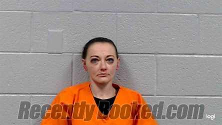 Recent Booking / Mugshot for Danielle Leigh Moore in Raleigh County ...