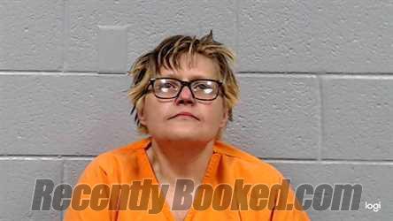 Recent Booking / Mugshot for Danielle Renea Mcginnis in Raleigh County ...
