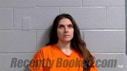 Recent Booking / Mugshot for Krystal Nicole Deatley in Raleigh County ...