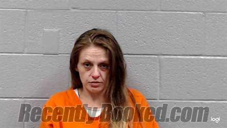 Recent Booking / Mugshot for Morgan Nicole Cook in Raleigh County, West ...