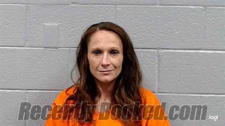 Recent Booking / Mugshot for Rebecca Ann Burrell in Raleigh County ...