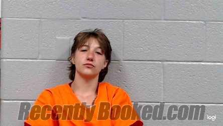 Recent Booking / Mugshot for Stephanie Deanna Garringer in Raleigh ...