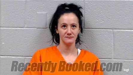 Recent Booking / Mugshot for Sarah Elizabeth Lane in Raleigh County ...