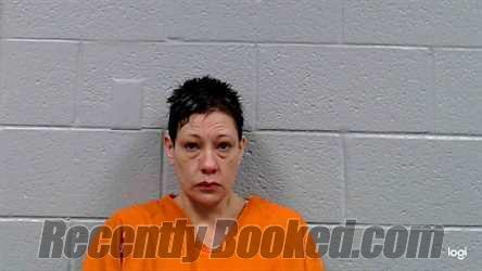 Recent Booking / Mugshot for Teanna Marie Collins in Raleigh County ...