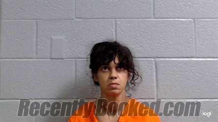 Recent Booking / Mugshot for Veronica Lee Adkins in Raleigh County ...