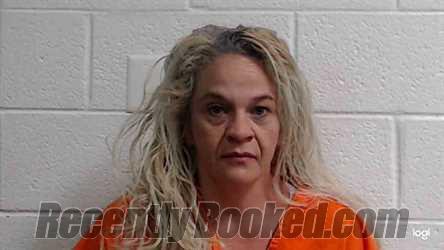 Recent Booking / Mugshot for Yolanda Jo Collins-Endicott in Raleigh ...