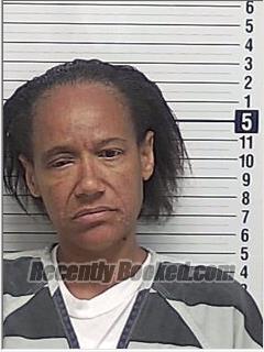 Recent Booking / Mugshot for FREIDA DENISE JOHNSON in Bay County, Florida