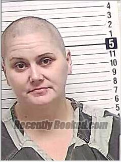 Recent Booking / Mugshot for ASHLEY ANN RIZZO in Bay County, Florida