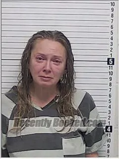 Vanessa Wood Keys Mugshot & Arrest Info | Bay County, FL