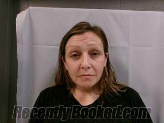 April Dawn Kenney Mugshot & Arrest Info | Randolph County, WV