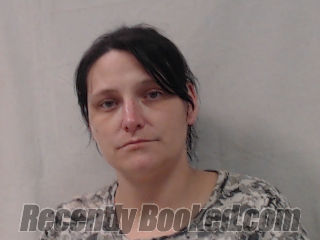 Recent Booking / Mugshot for Rhea Donna Drake-Stickel in Roane County ...