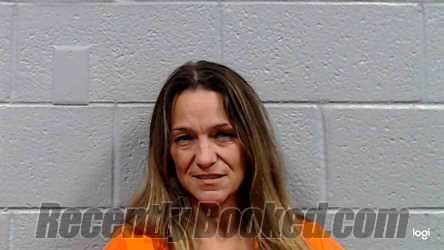 Recent Booking / Mugshot for Jamie Christina Wickline in Summers County ...