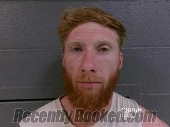 Recent Booking / Mugshot for Alex Lee Reed in Taylor County, West Virginia