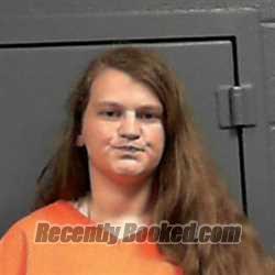 Recent Booking / Mugshot for Danielle Marie Robertson in Wayne County ...